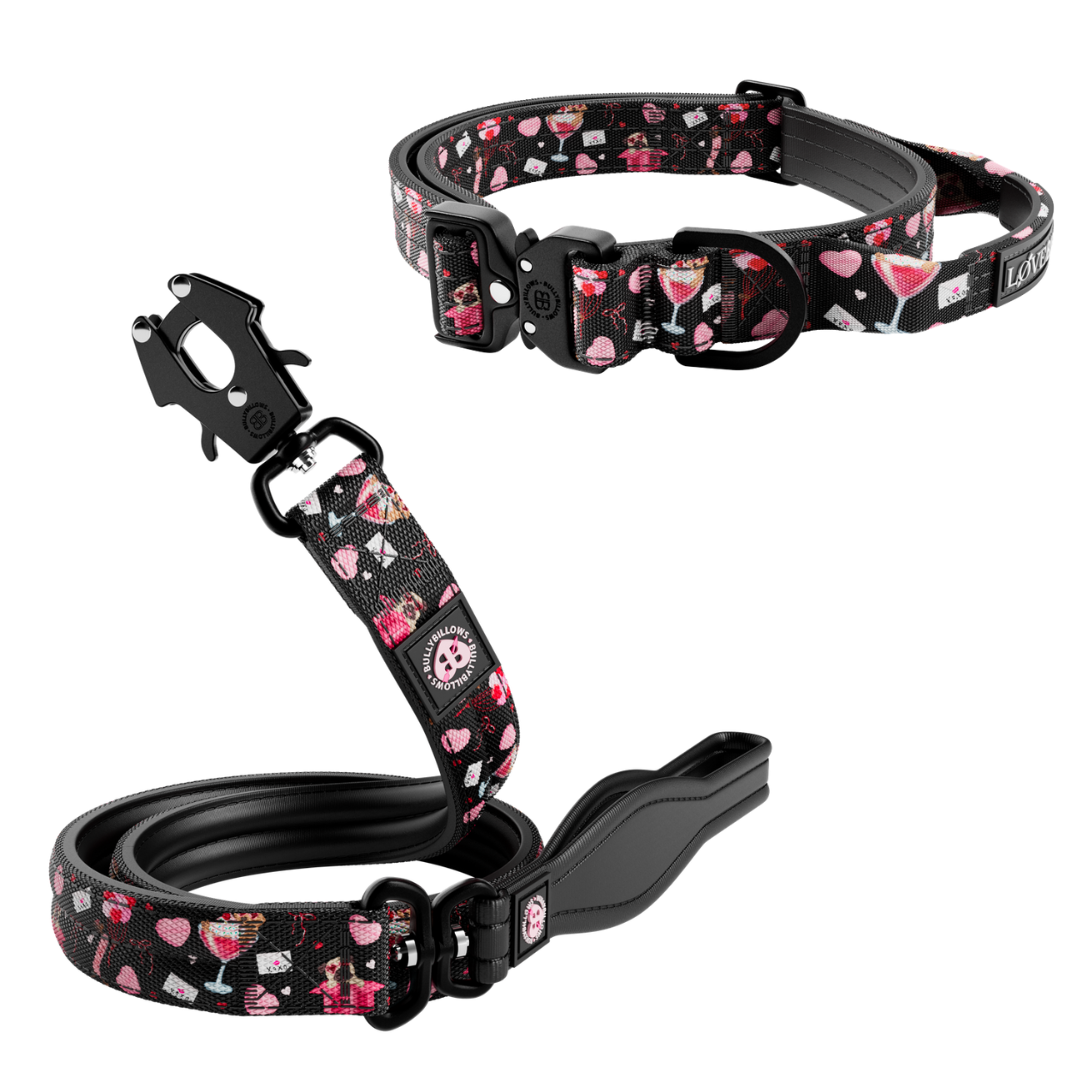 Sweet Steps 2.5cm Collar & Lead Bundle - Black – BullyBillows Europe