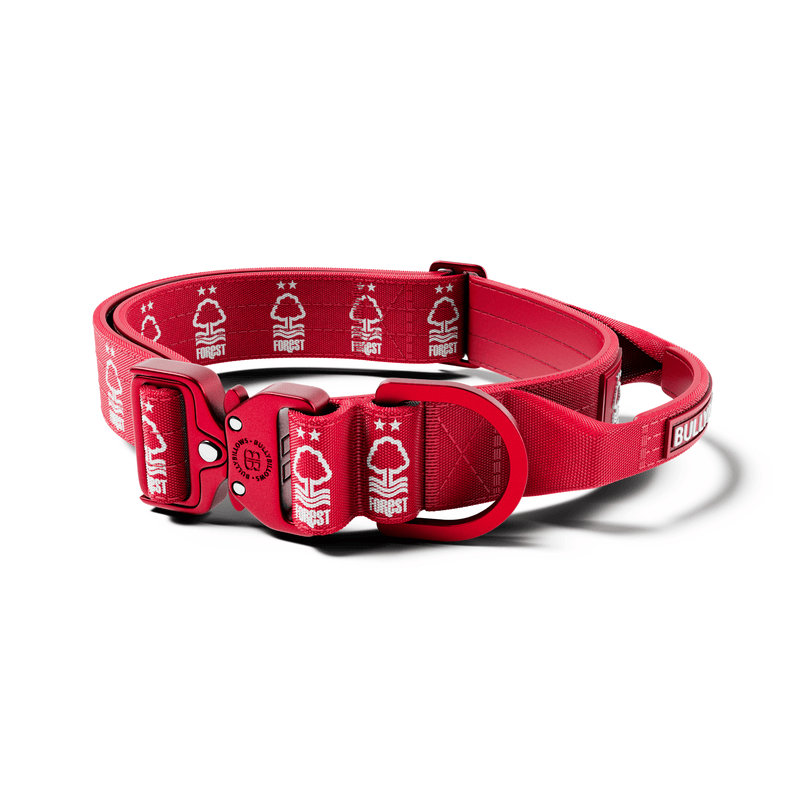 Dog Collars | Training Dog Collars | BullyBillows – BullyBillows Europe
