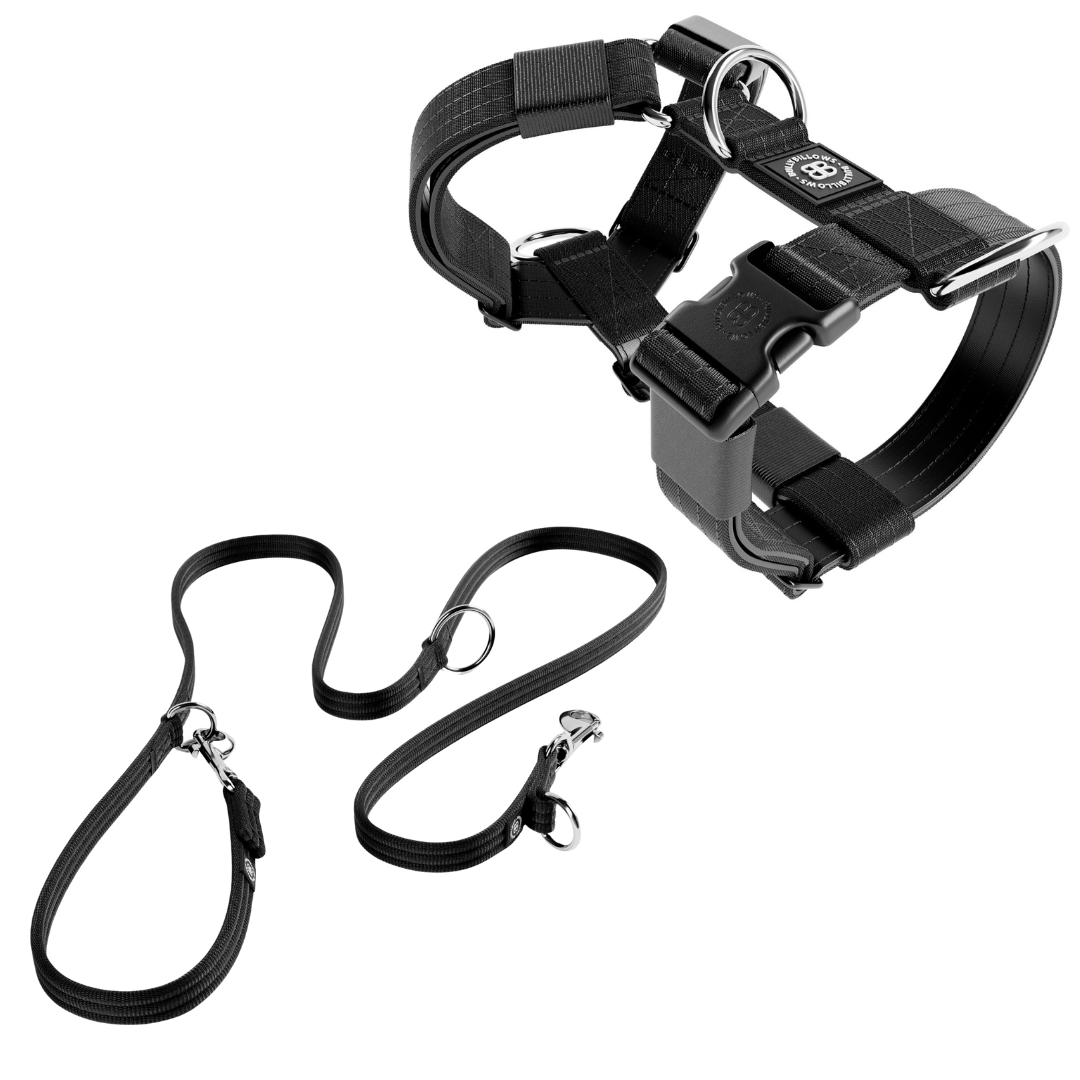 TRI-Harness® & Training Lead Bundle – Black – BullyBillows Europe