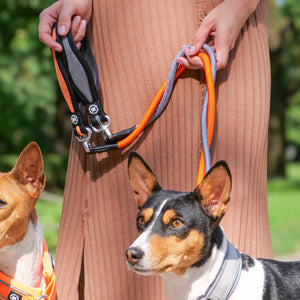 BullyBillows EU - Leaders of Premium Dog Essentials – BullyBillows Europe