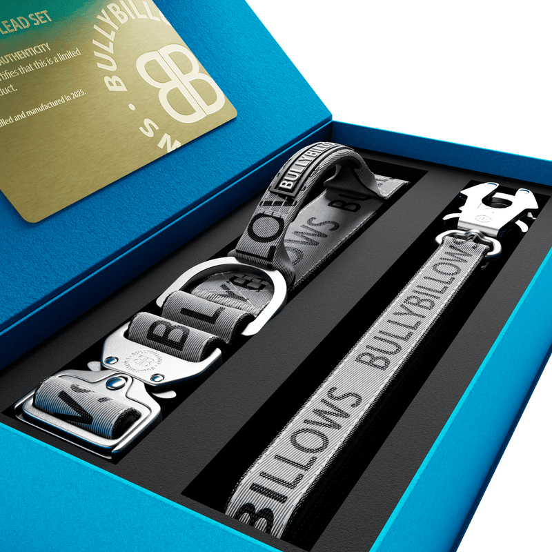 Dog Collars | Training Dog Collars | BullyBillows – BullyBillows Europe