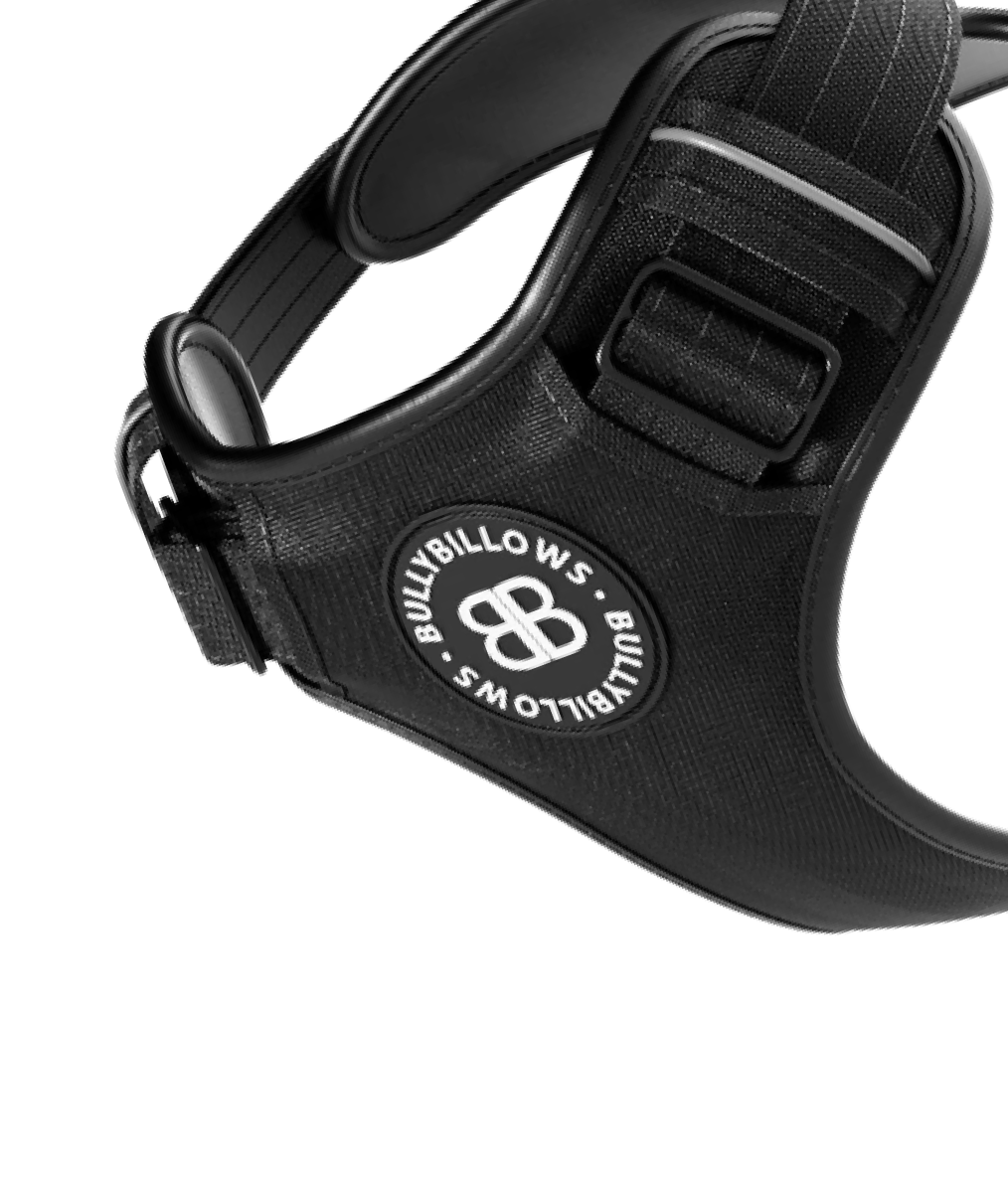 BullyBillows EU - Leaders of Premium Dog Essentials – BullyBillows Europe